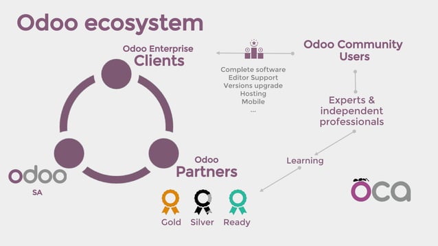 The Odoo Ecosystem | PPT