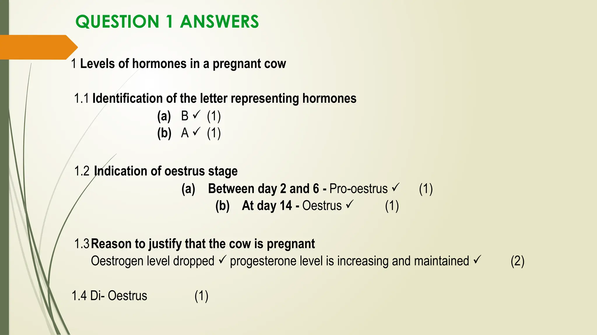 THE_OESTRUS_CYCLE_presentation_mastec.pptx