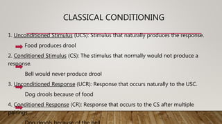 Elizabeth's The Office Blockbuster Project | PPT