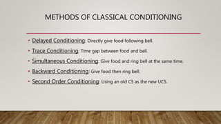 Elizabeth's The Office Blockbuster Project | PPT