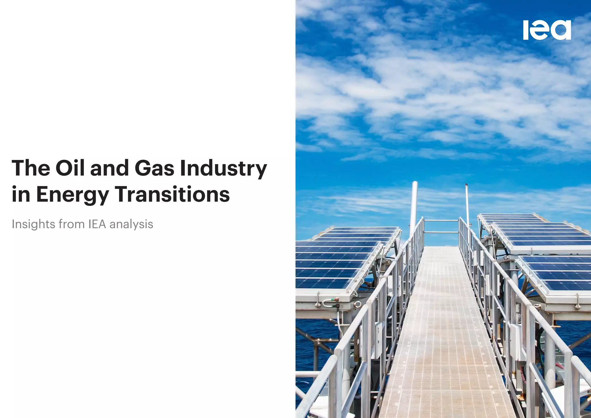The_Oil_and_Gas_Industry_in_Energy_Transitions.pdf