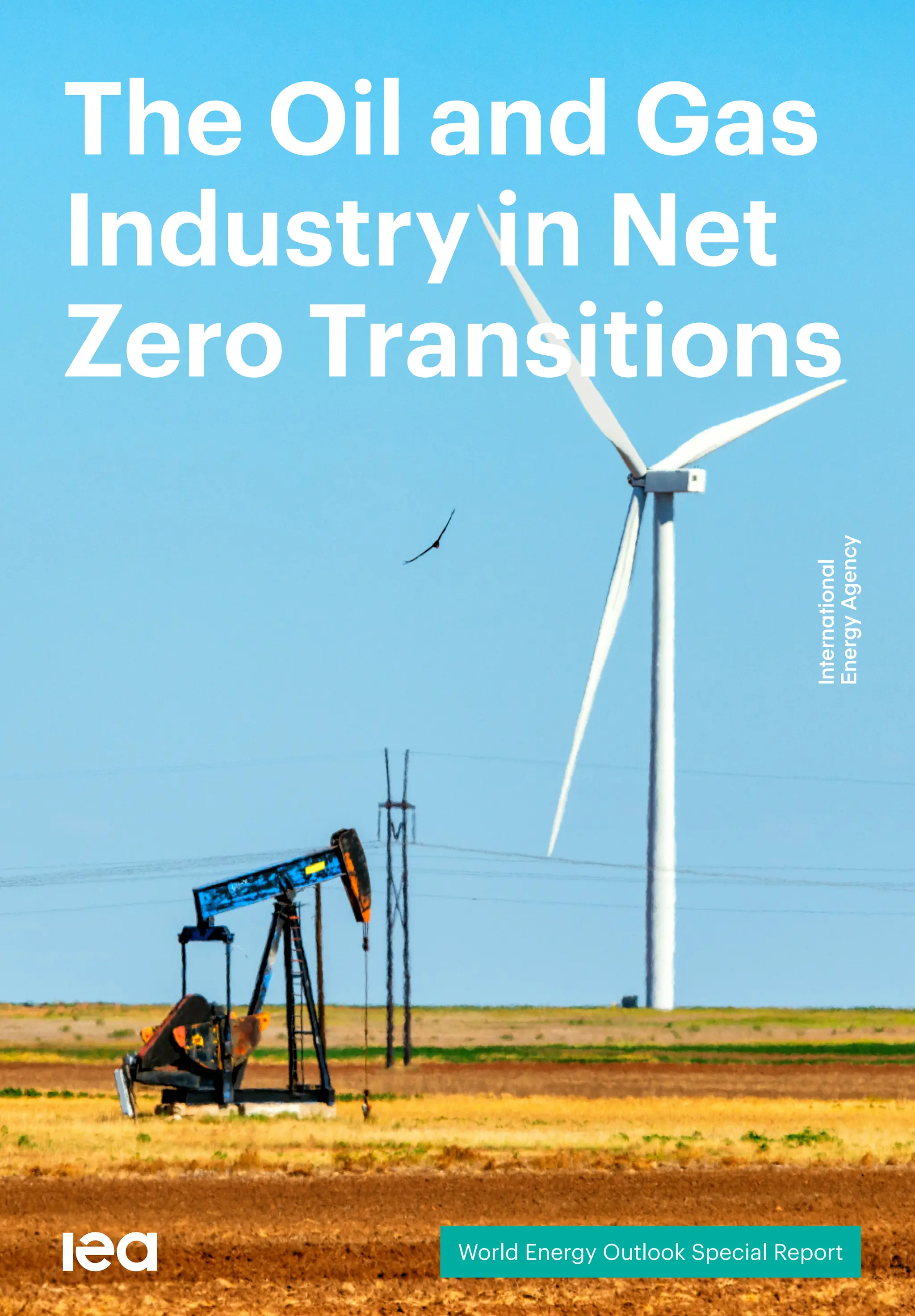 IEA Report: The Oil and Gas Industry in NetZero Transitions | PDF ...
