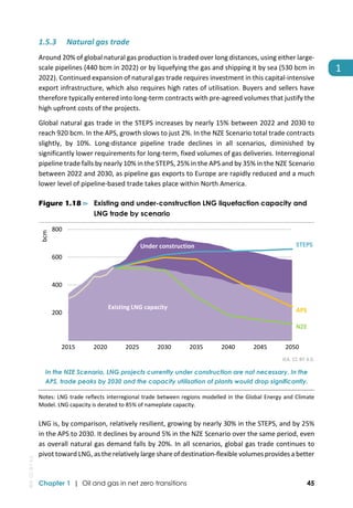 IEA Report: The Oil and Gas Industry in NetZero Transitions | PDF ...
