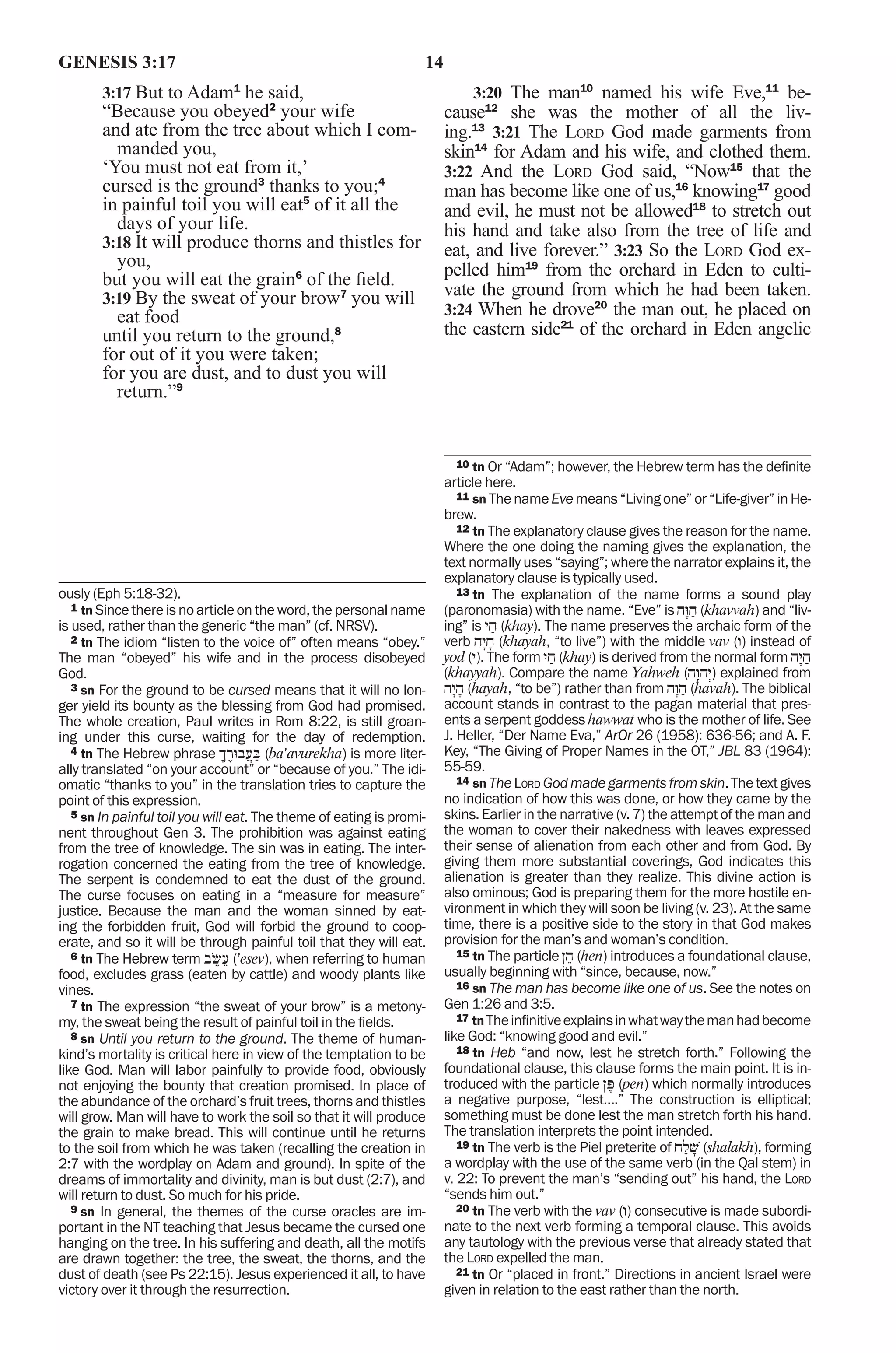 The old testament . genesis niv | PDF