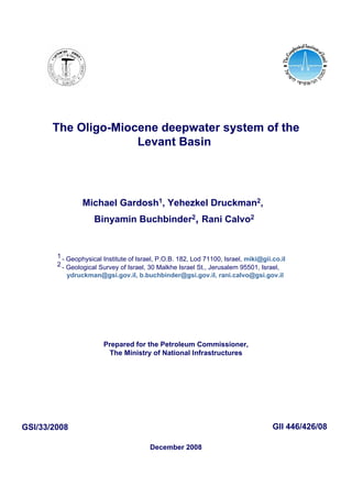The Oligo-Miocene deepwater system of the Levant Basin | PDF