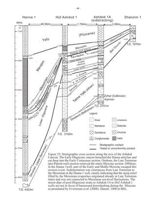 The Oligo-Miocene deepwater system of the Levant Basin | PDF ...