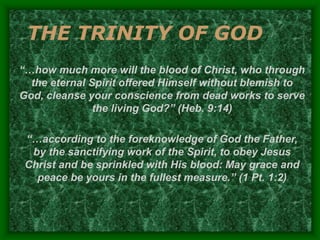 Theology Proper: What is God Like? | PPT
