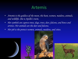 The Olympian Greek Gods and Goddesses | PPTX