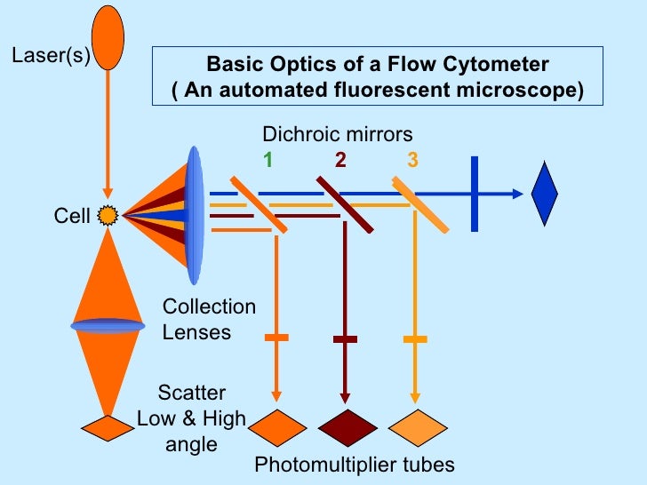 FlowCytometry Basics