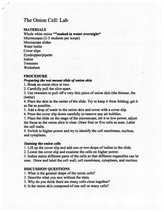 The onion cell_lab | PDF