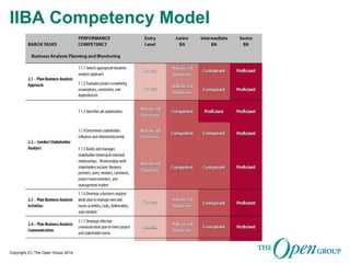 The open group profession framework | PPT