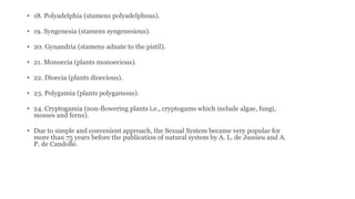 Theophrastus and carl linn. | PPTX