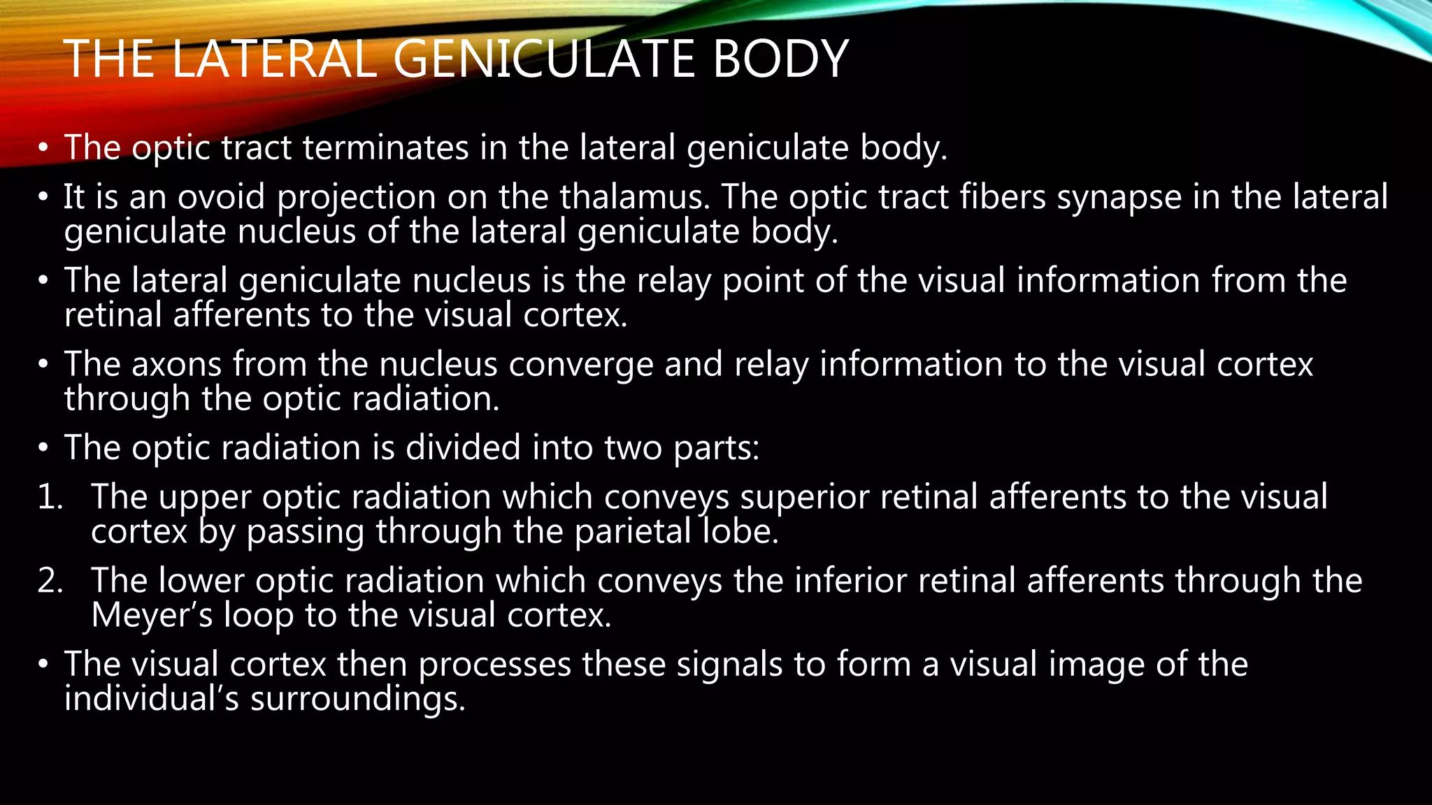 THE OPTIC NERVE | PPTX