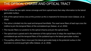 THE OPTIC NERVE | PPTX