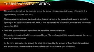 THE OPTIC NERVE | PPTX