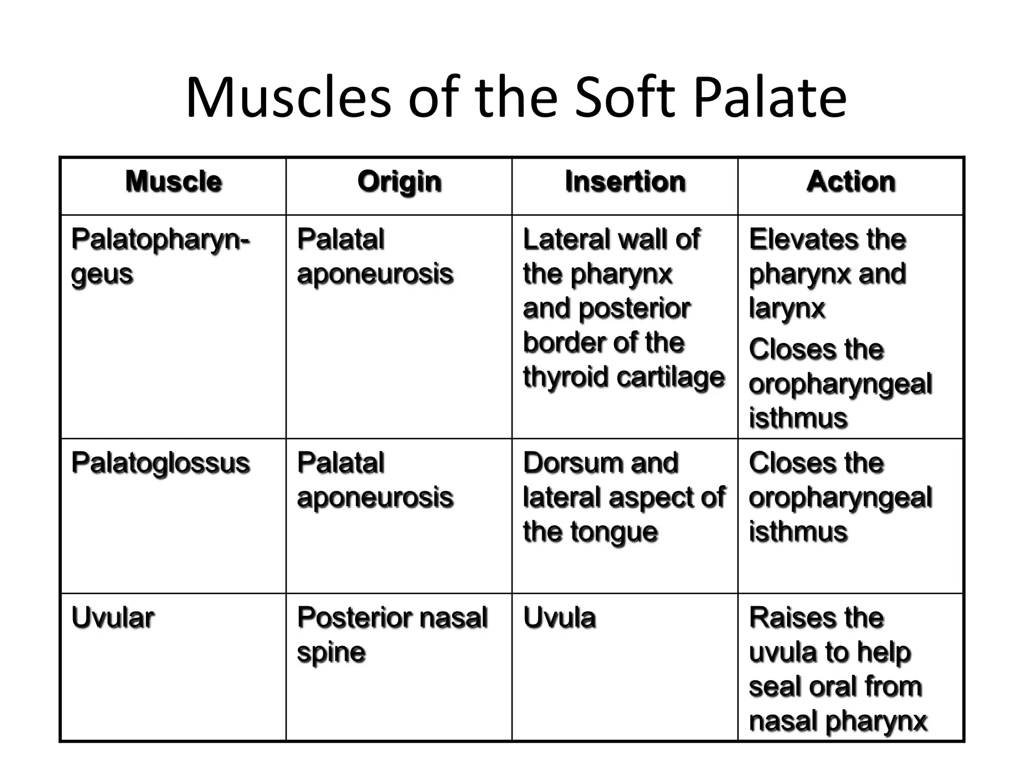 The oral cavity | PPTX