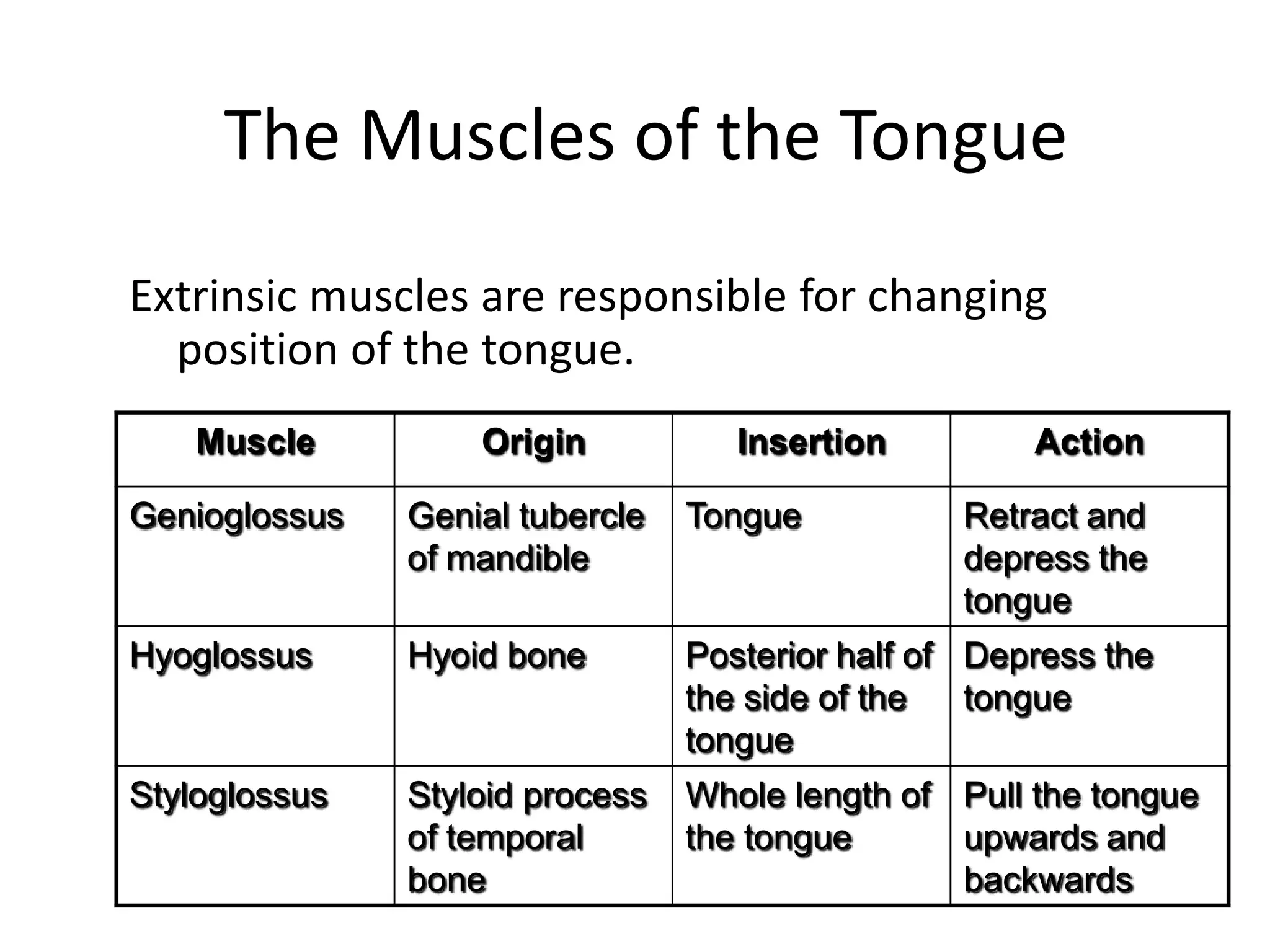 The oral cavity | PPTX