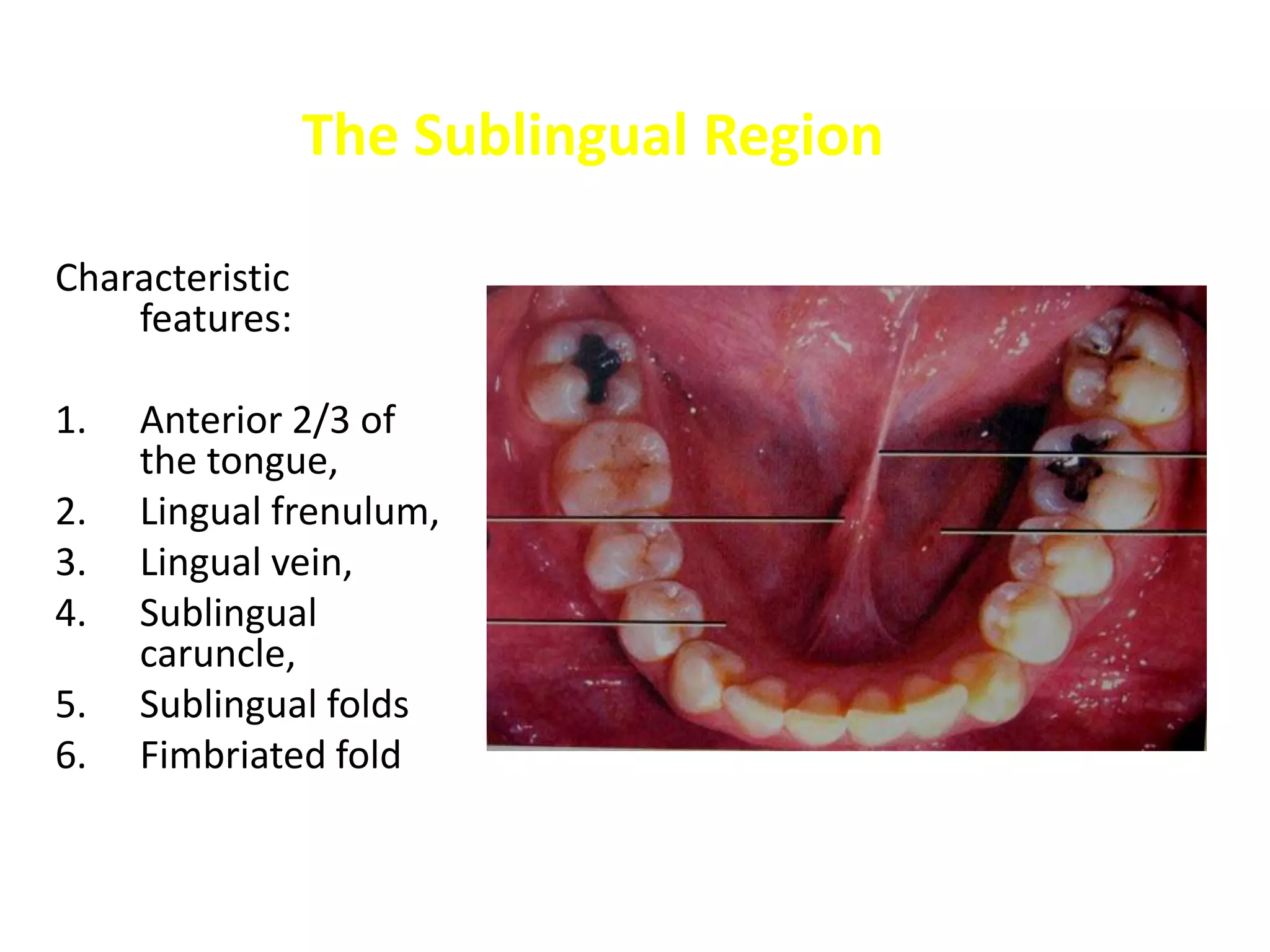 The oral cavity | PPTX