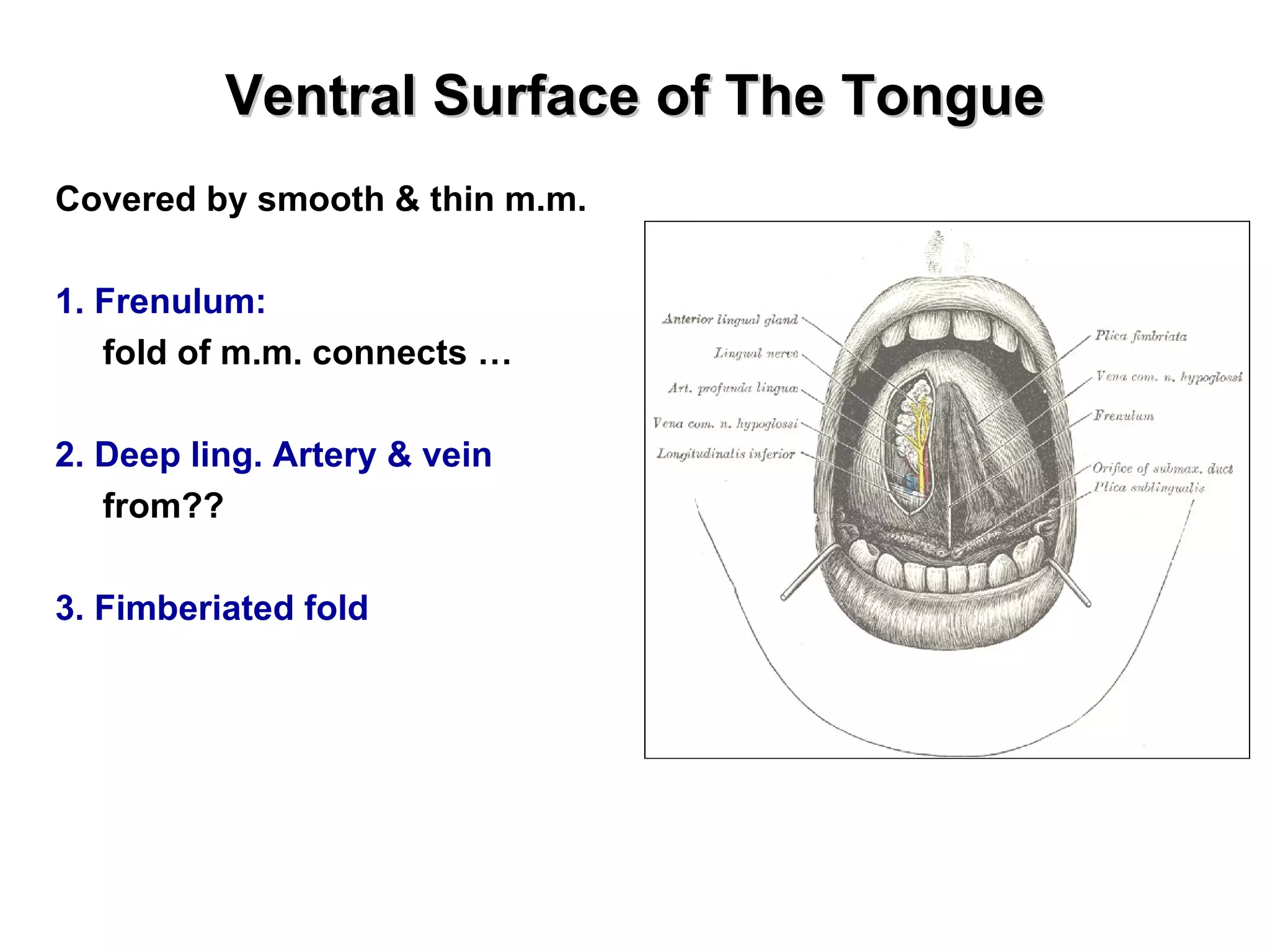 The oral cavity & salivary glands | PPT