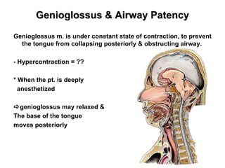 The oral cavity & salivary glands | PPT