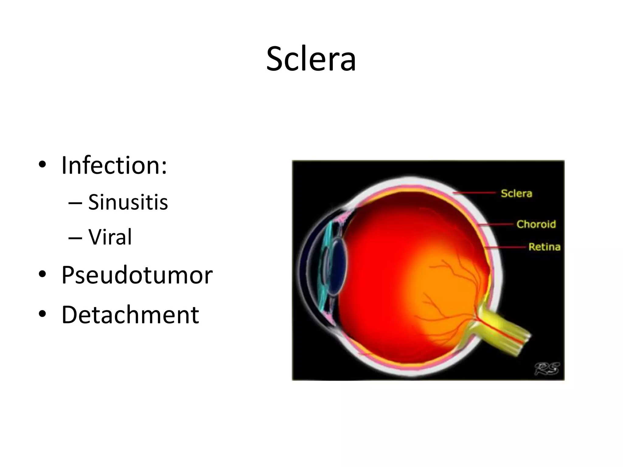 The Imaging of the Orbit | PDF
