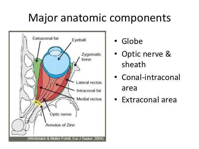 The Imaging of the Orbit