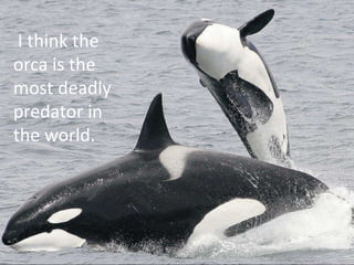 The orca | PPTX