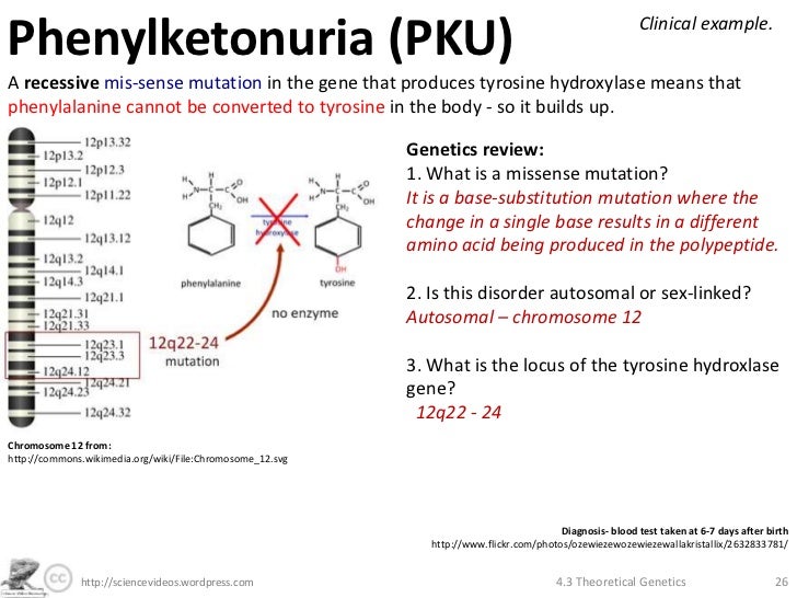 Theoretical Genetics