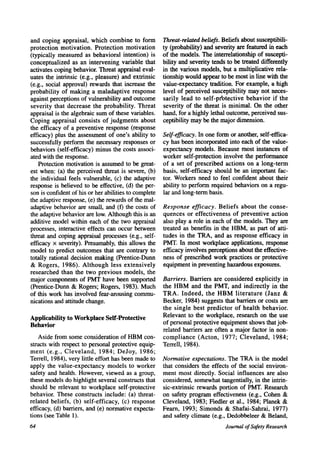 theoretical-models-SAFETY.pdf | Business and Finance