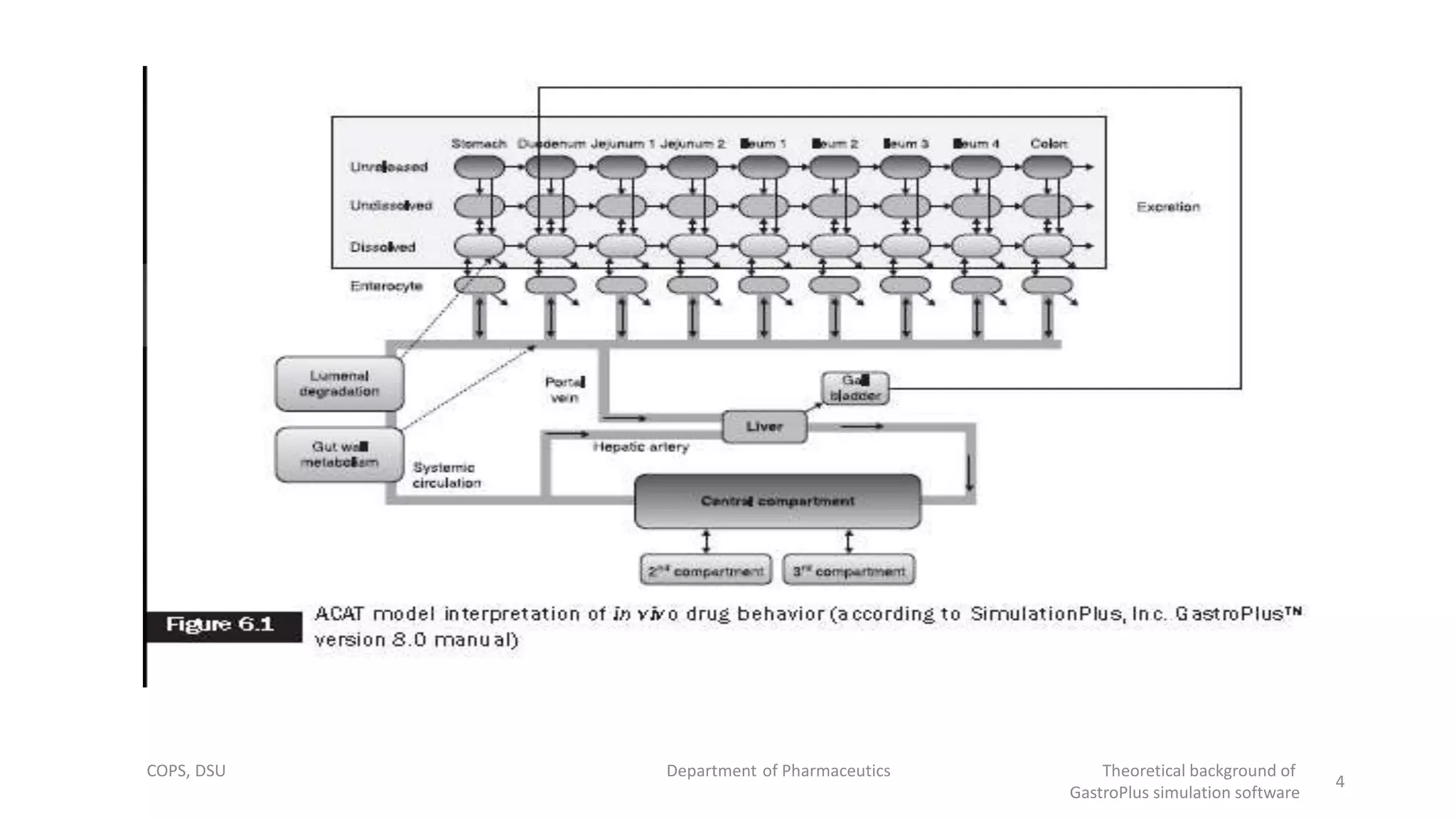 Theoretical background on GastroPlus Simulation Software | PPTX