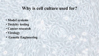 Theoretical models | PPTX | Biological Sciences | Science