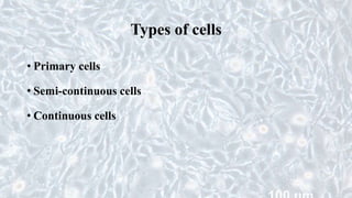 Theoretical models | PPTX | Biological Sciences | Science