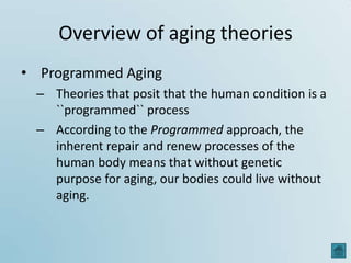 Theoretical Perspectives on Aging | PPT