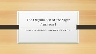 The Organisation of the Sugar Plantation.pptx