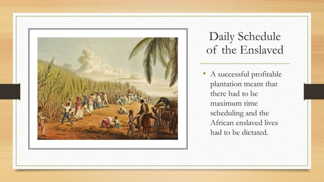 The Organisation of the Sugar Plantation.pptx | Crime & Harmful Acts to ...