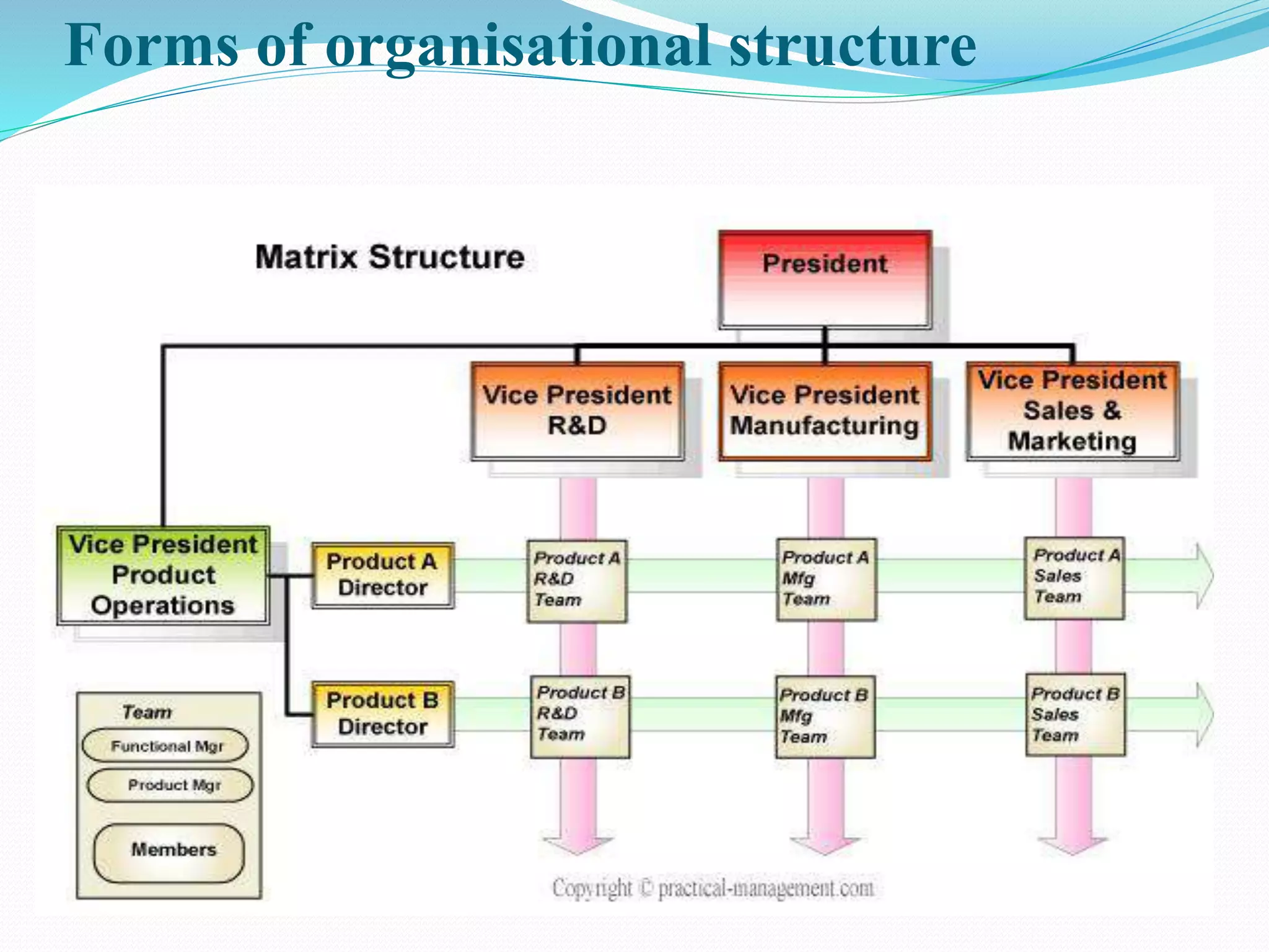 THE ORGANISING FUNCTION.pptx