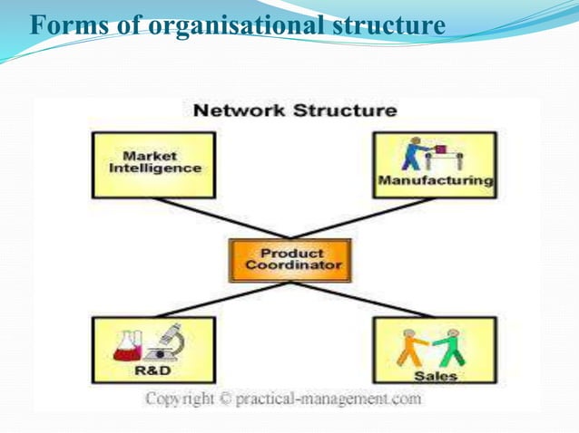 THE ORGANISING FUNCTION.pptx