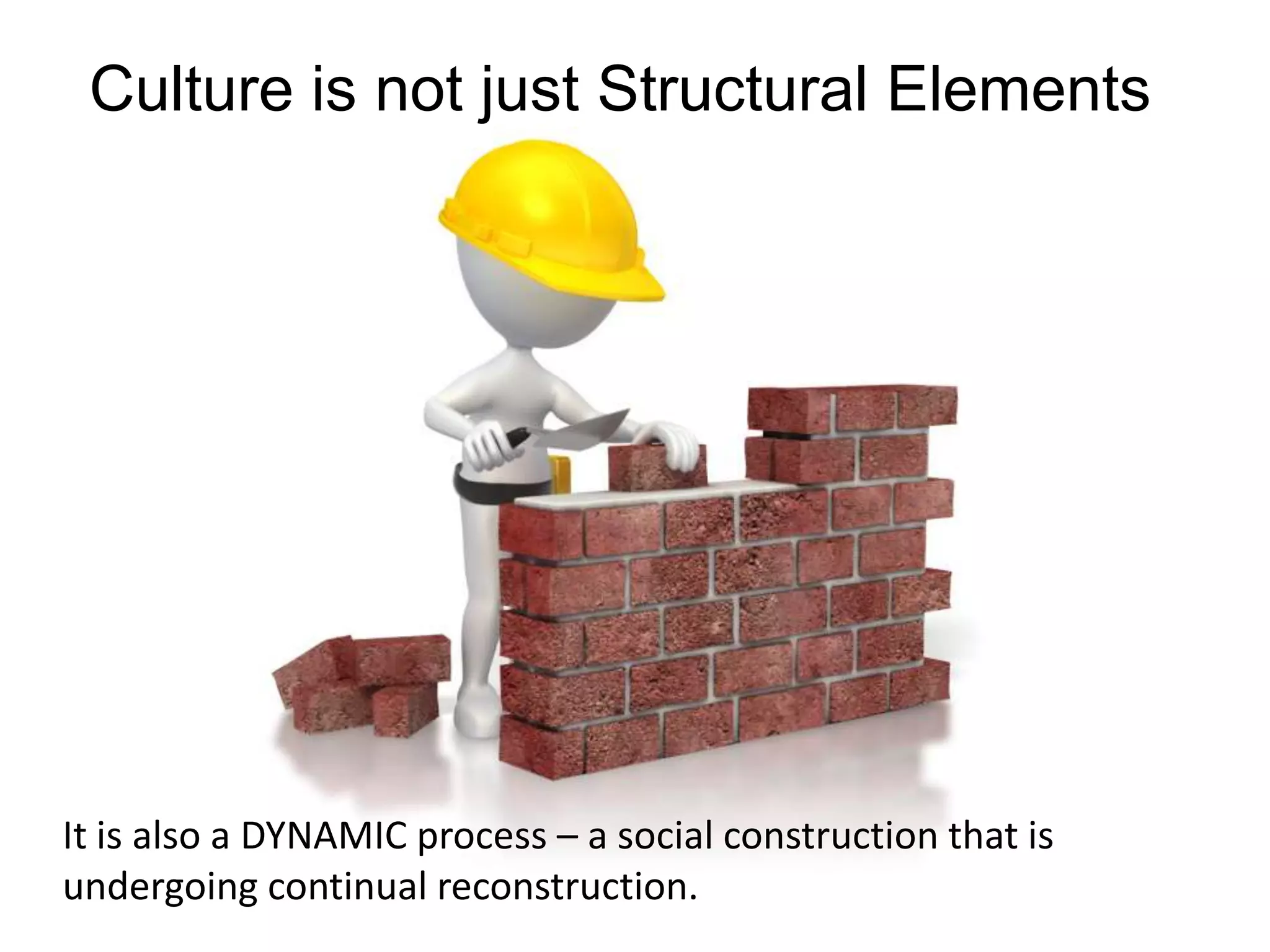 The organizational culture perspective (steven ott) | PPTX