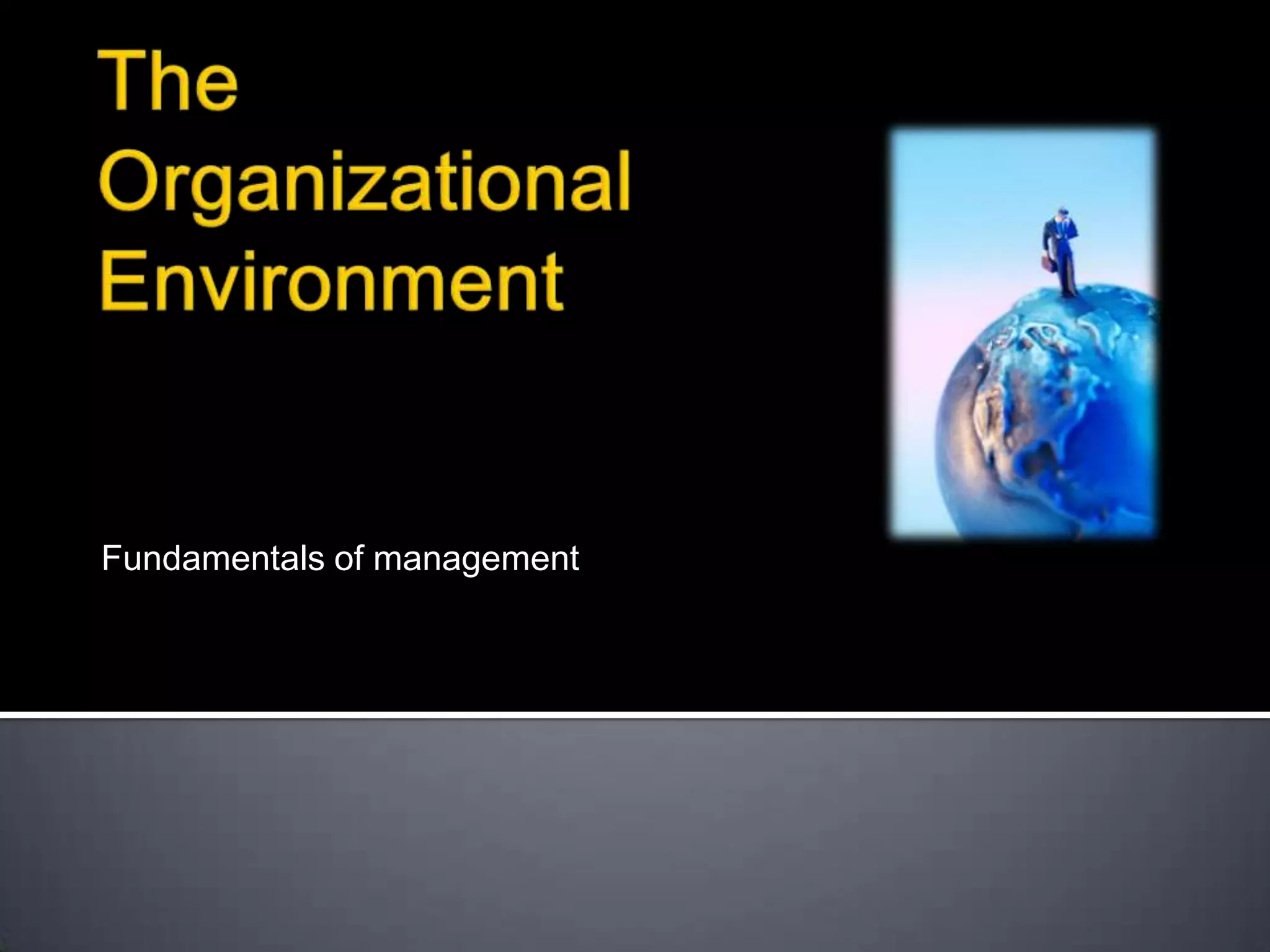 The organizational environment | PPTX