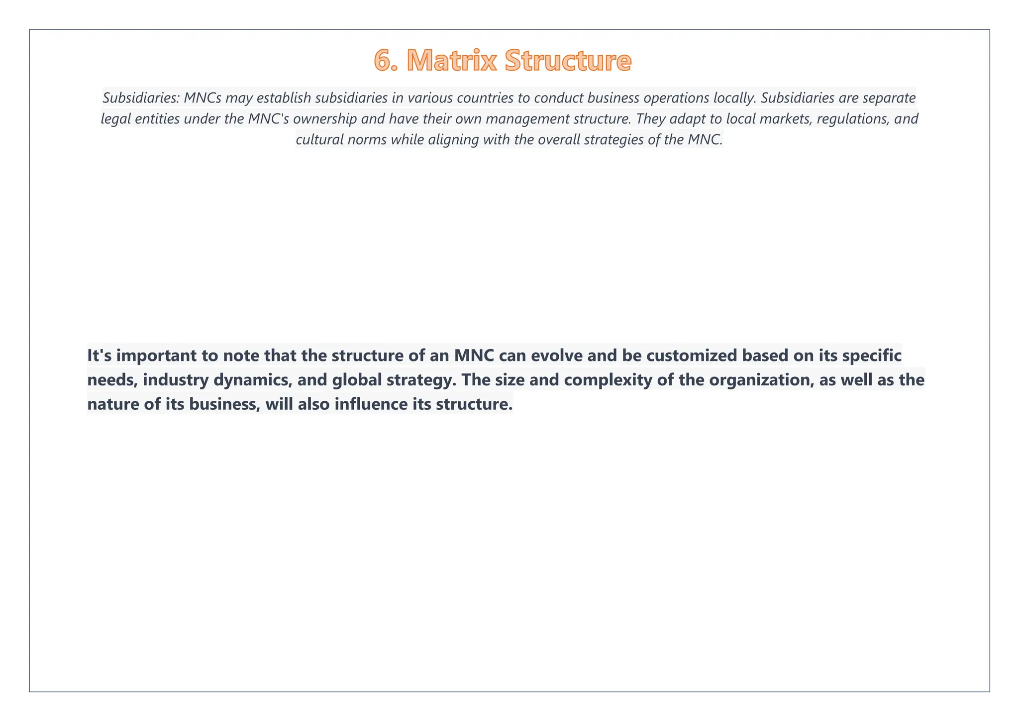 The organizational structure of a multinational company.docx