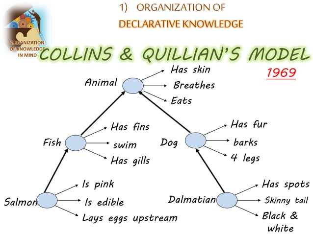 The organization of knowledge in mind - Chapter8, Cognitive Psychology ...