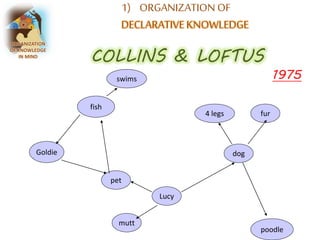 The organization of knowledge in mind - Chapter8, Cognitive Psychology ...