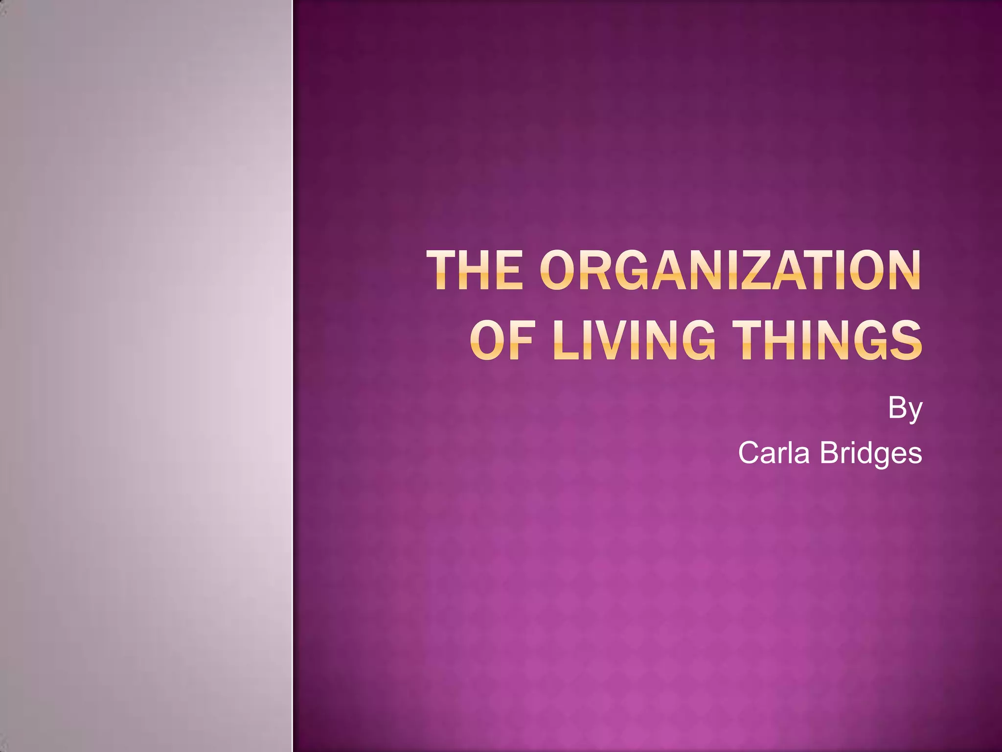 organization of living things | PPT