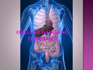 organization of living things | PPT