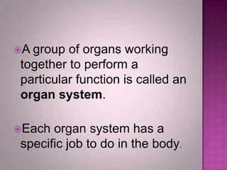 organization of living things | PPTX