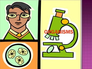 organization of living things | PPT