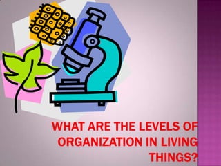 organization of living things | PPT