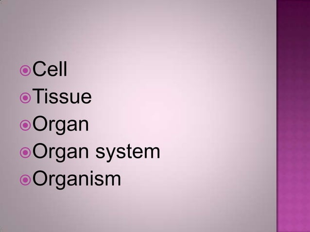 organization of living things | PPT