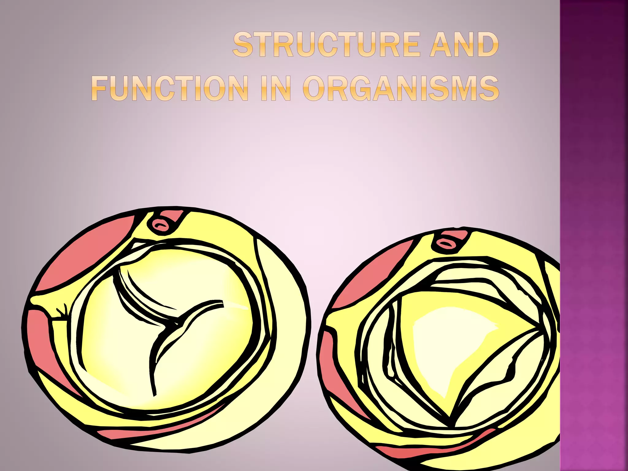 The organization of living things | PPTX