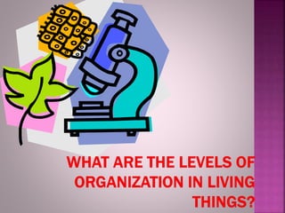 The organization of living things | PPTX